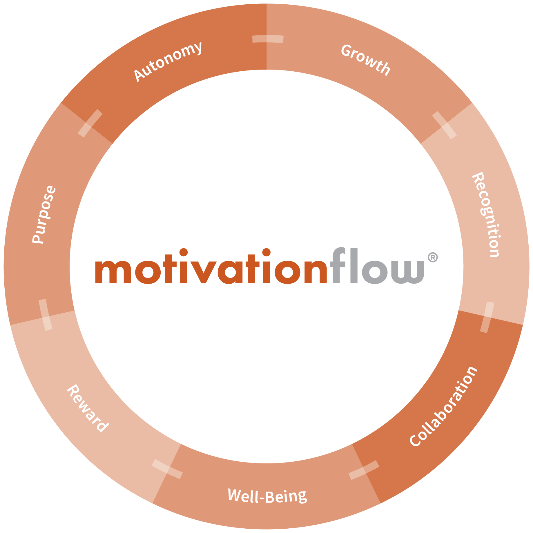 flowprofiler® | An Overview - flowprofiler®