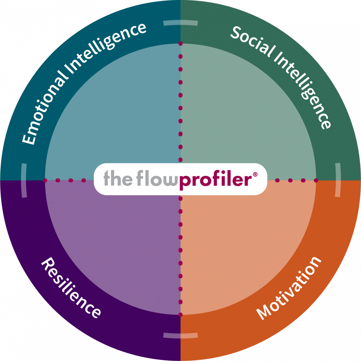 flowprofiler® Psychometric Reports - flowprofiler®