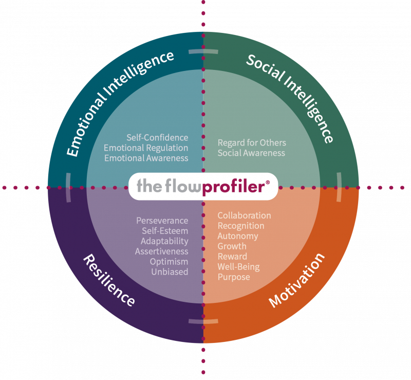 flowprofiler® Psychometric Assessments - flowprofiler®