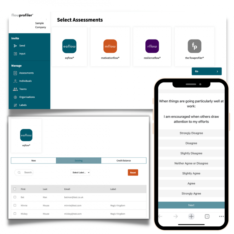 flowprofiler® | An Overview - flowprofiler®