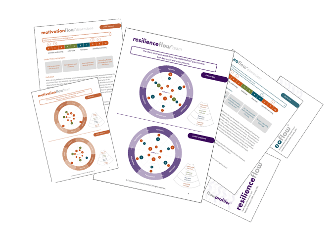 flowprofiler® | Learning & Development - flowprofiler®