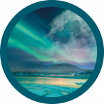 A history of Emotional Intelligence - flowprofiler®