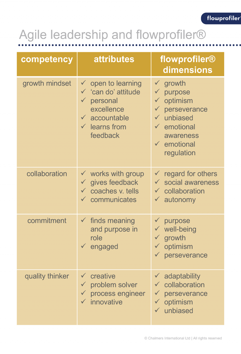 Agile leaders and flowprofiler® | Part 2 - flowprofiler®