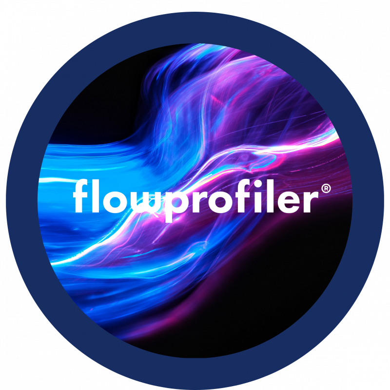 Navigating Differences: 4 Tips to Influence Coworkers - flowprofiler®