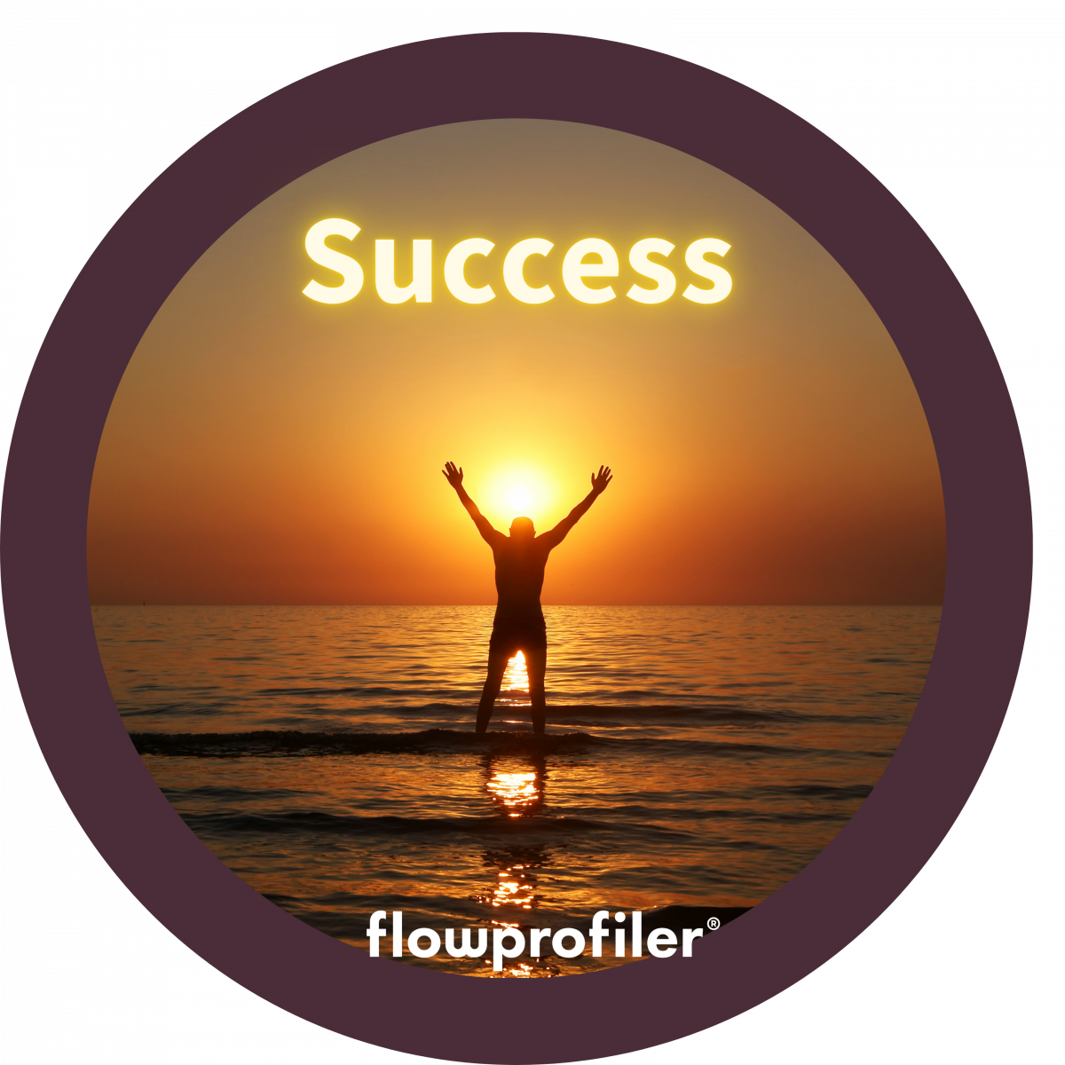 Why flowprofiler® is unique - flowprofiler®