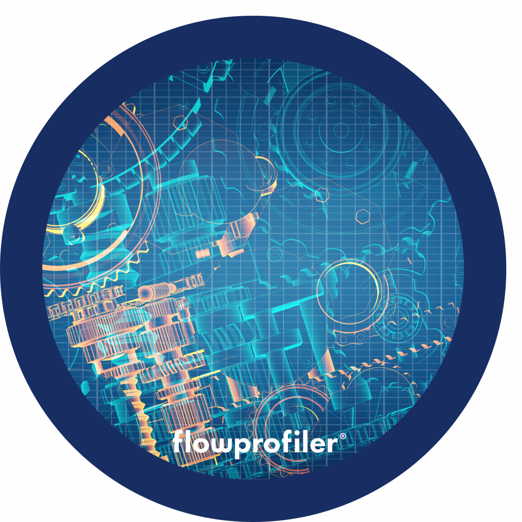 3 Signs That You're Making Biased Decisions - flowprofiler®