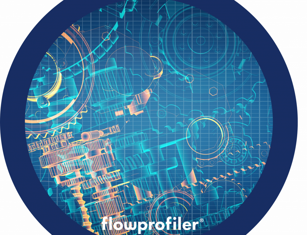 the flowprofiler | personal excellence - flowprofiler®