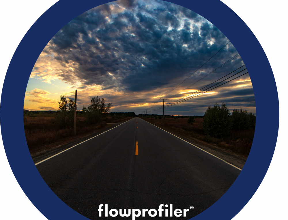 Why Leaders Should Activate Emotional Regulation - flowprofiler®