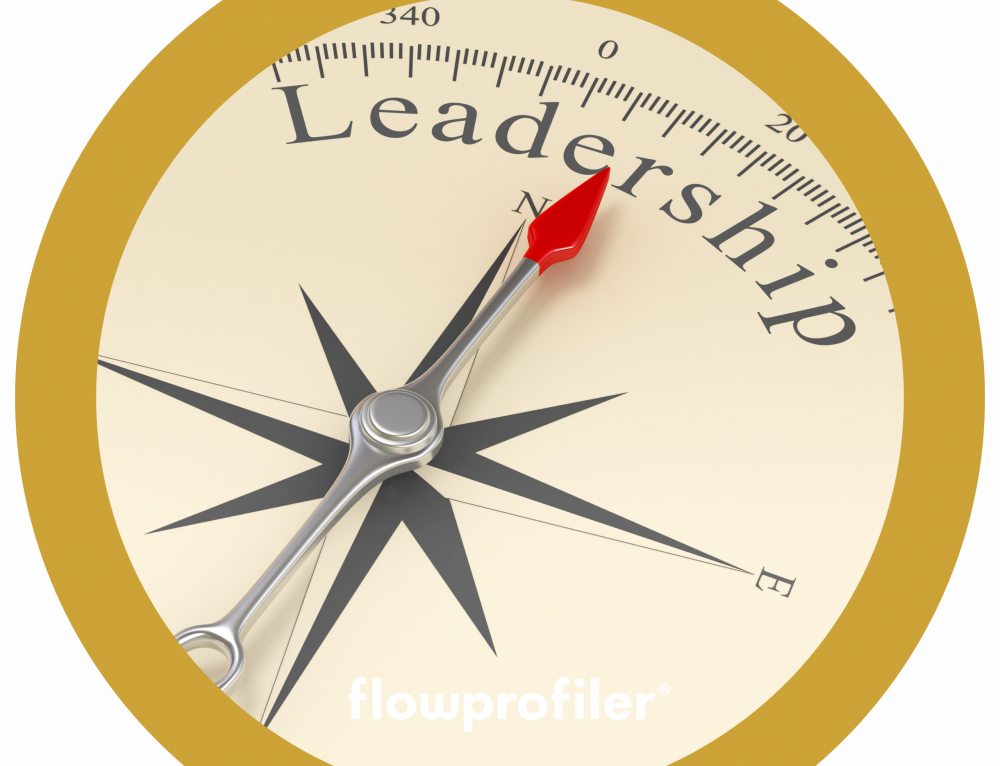 The Implementation Gap in Leadership - flowprofiler®