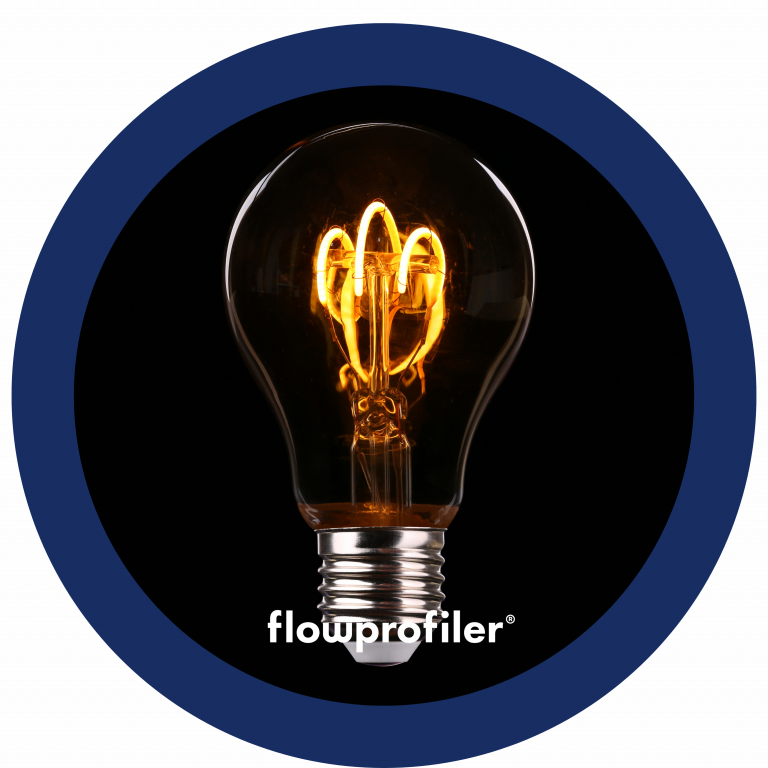 Integrating Technical and Behavioural Competencies in Leadership - flowprofiler®