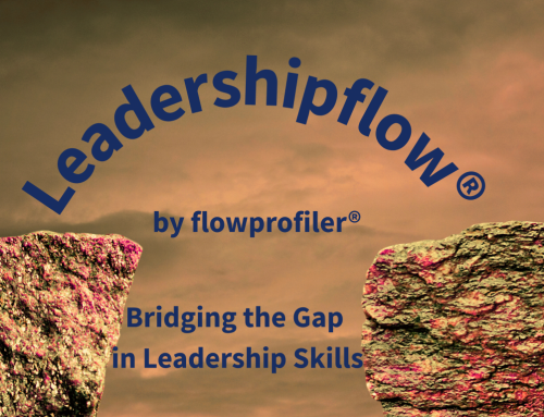 Mindset Matters in Leadership - flowprofiler®