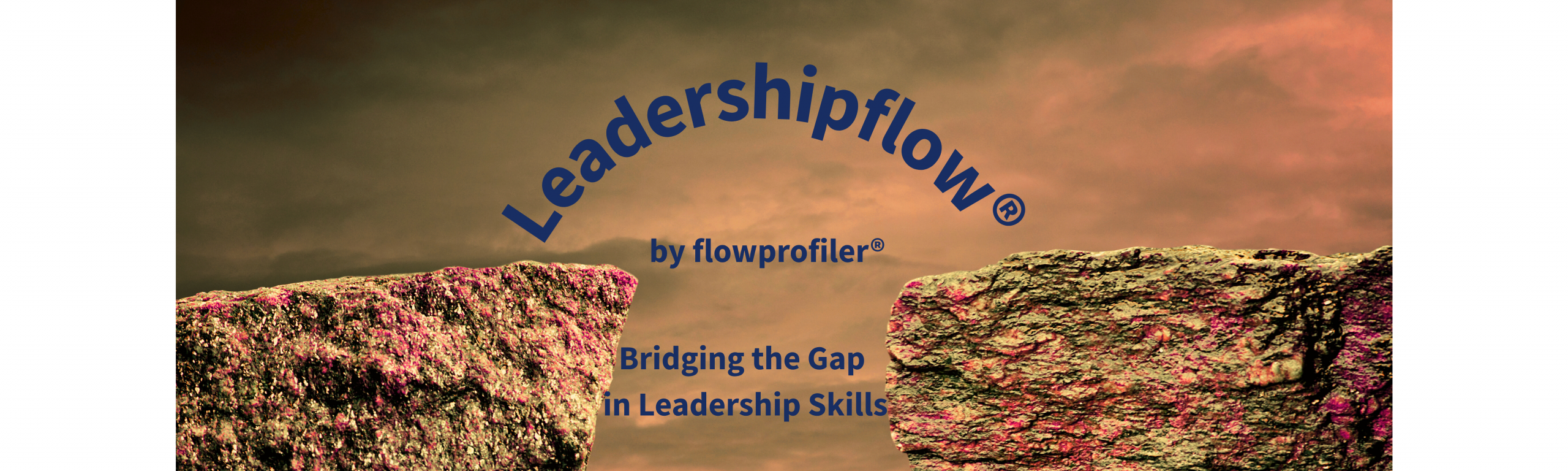 Leadership Influence: Ethics, Behaviour, and Drift - flowprofiler®